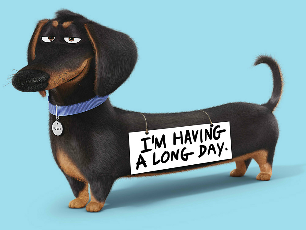 ‘The Secret Life of Pets’ characters take a bow in own posters ...